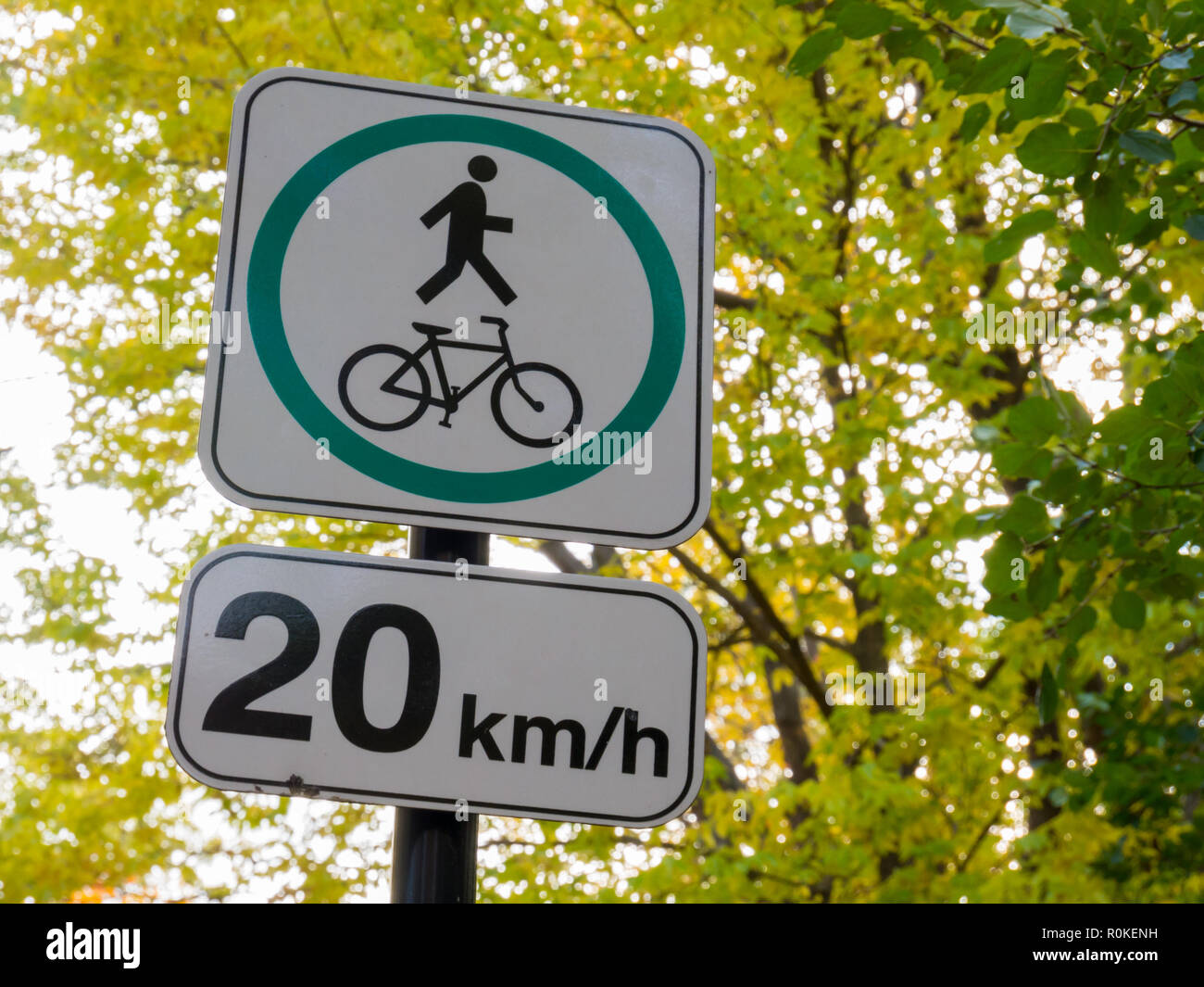 Bike lane go straight and speed limited signs Stock Photo - Alamy