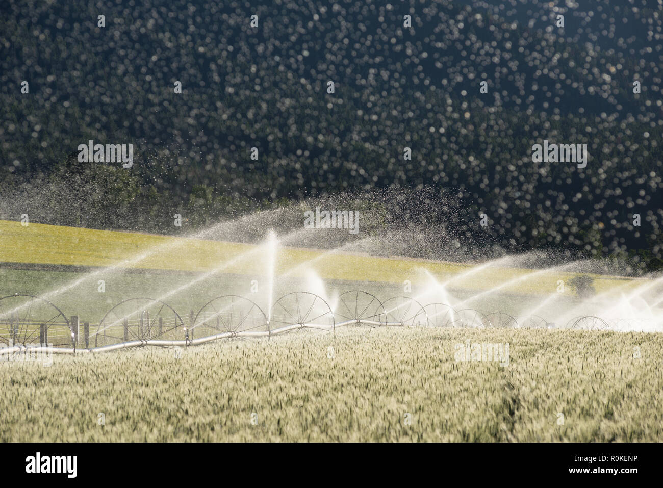 Water wheel irrigation hi-res stock photography and images - Alamy