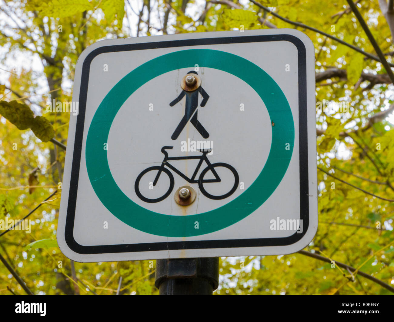 Bike lane go straight and speed limited signs Stock Photo - Alamy