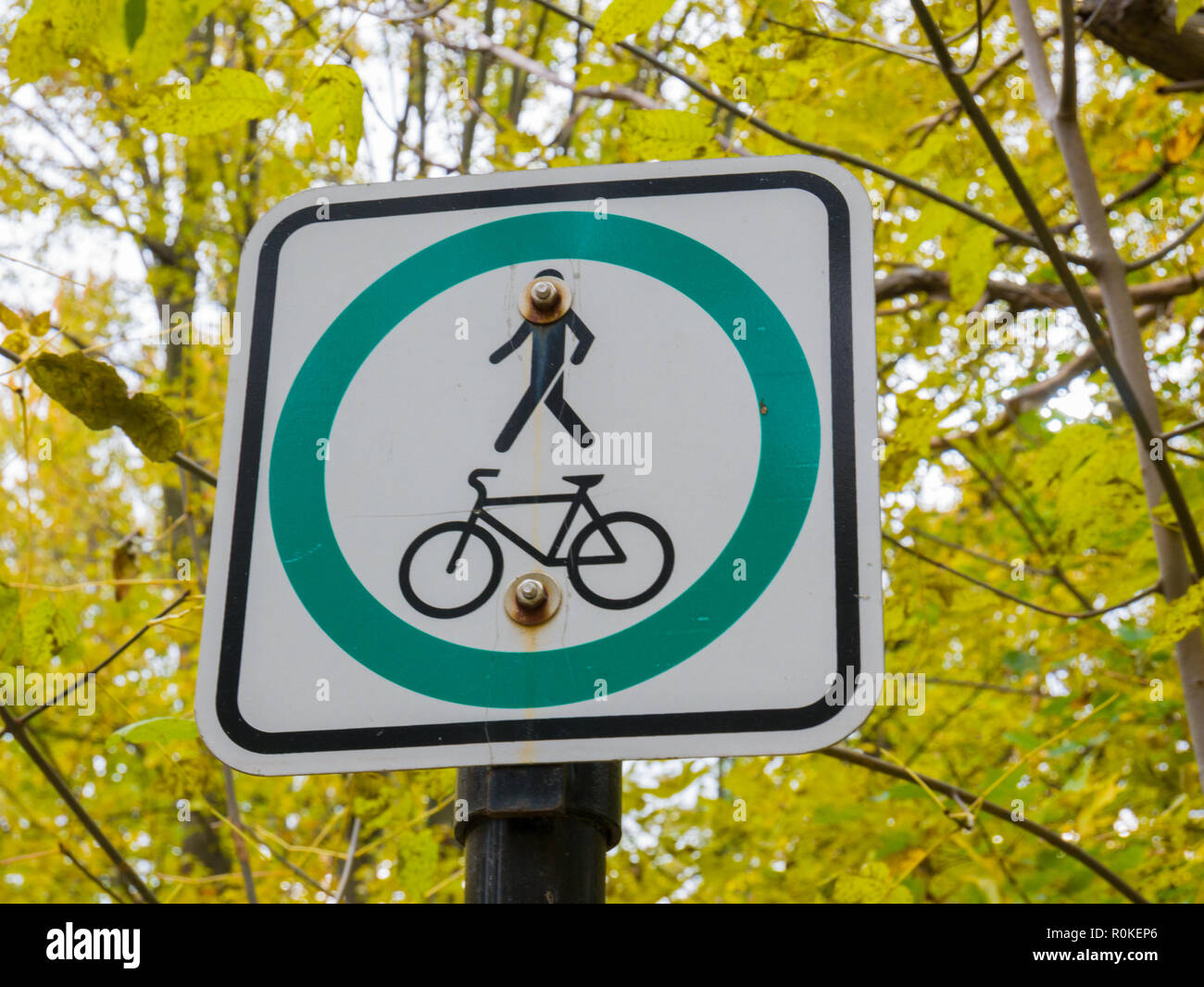 Bike lane go straight and speed limited signs Stock Photo - Alamy