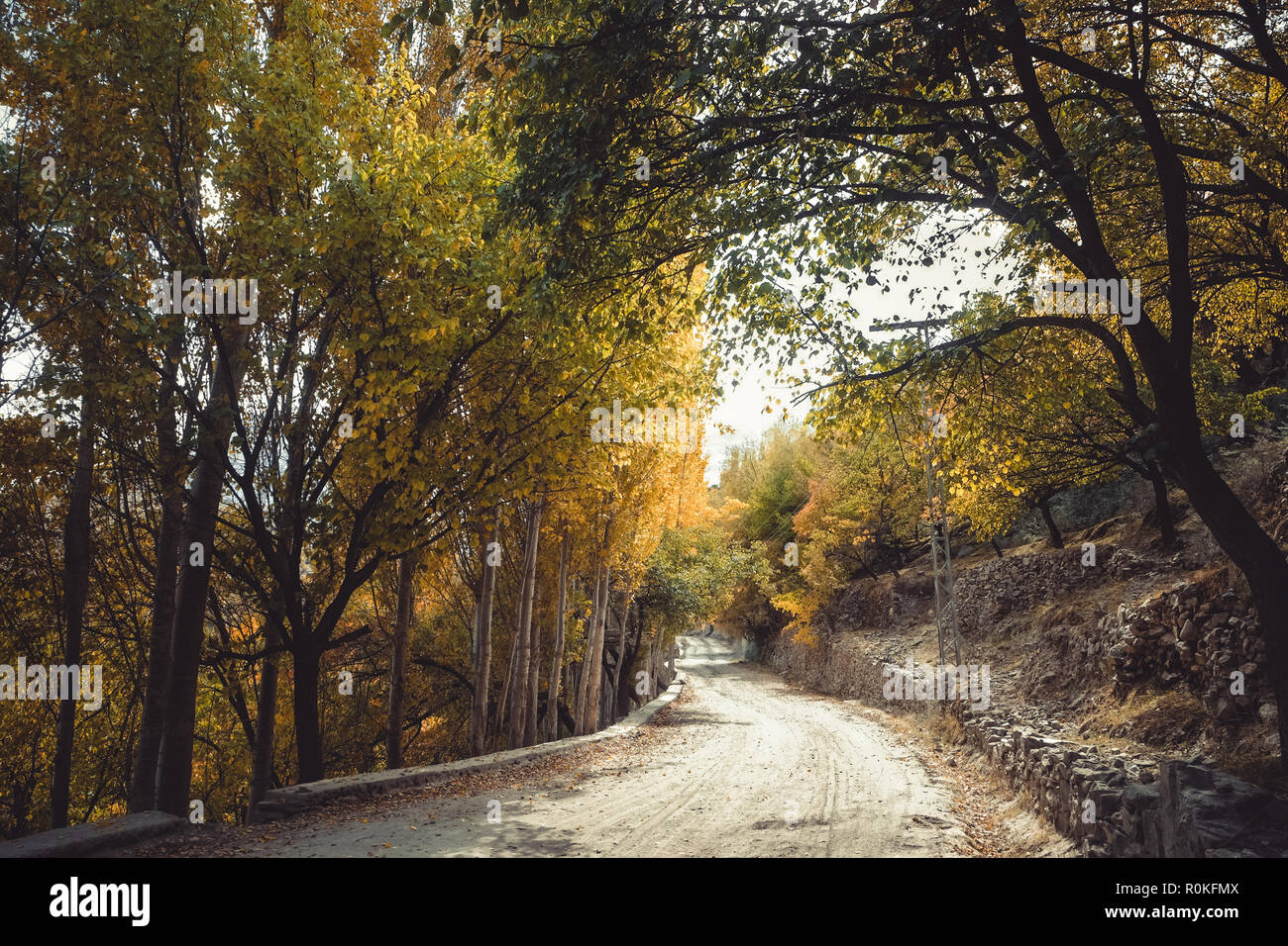 Street scene in pakistan hi-res stock photography and images - Alamy