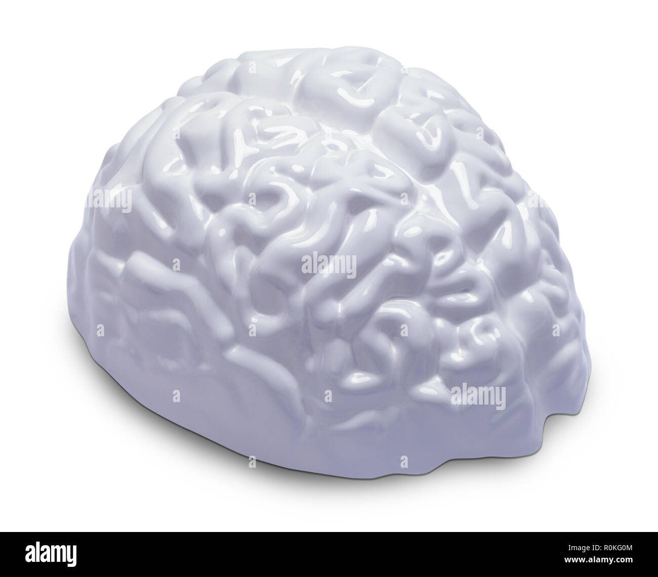 White human brain hi-res stock photography and images - Alamy