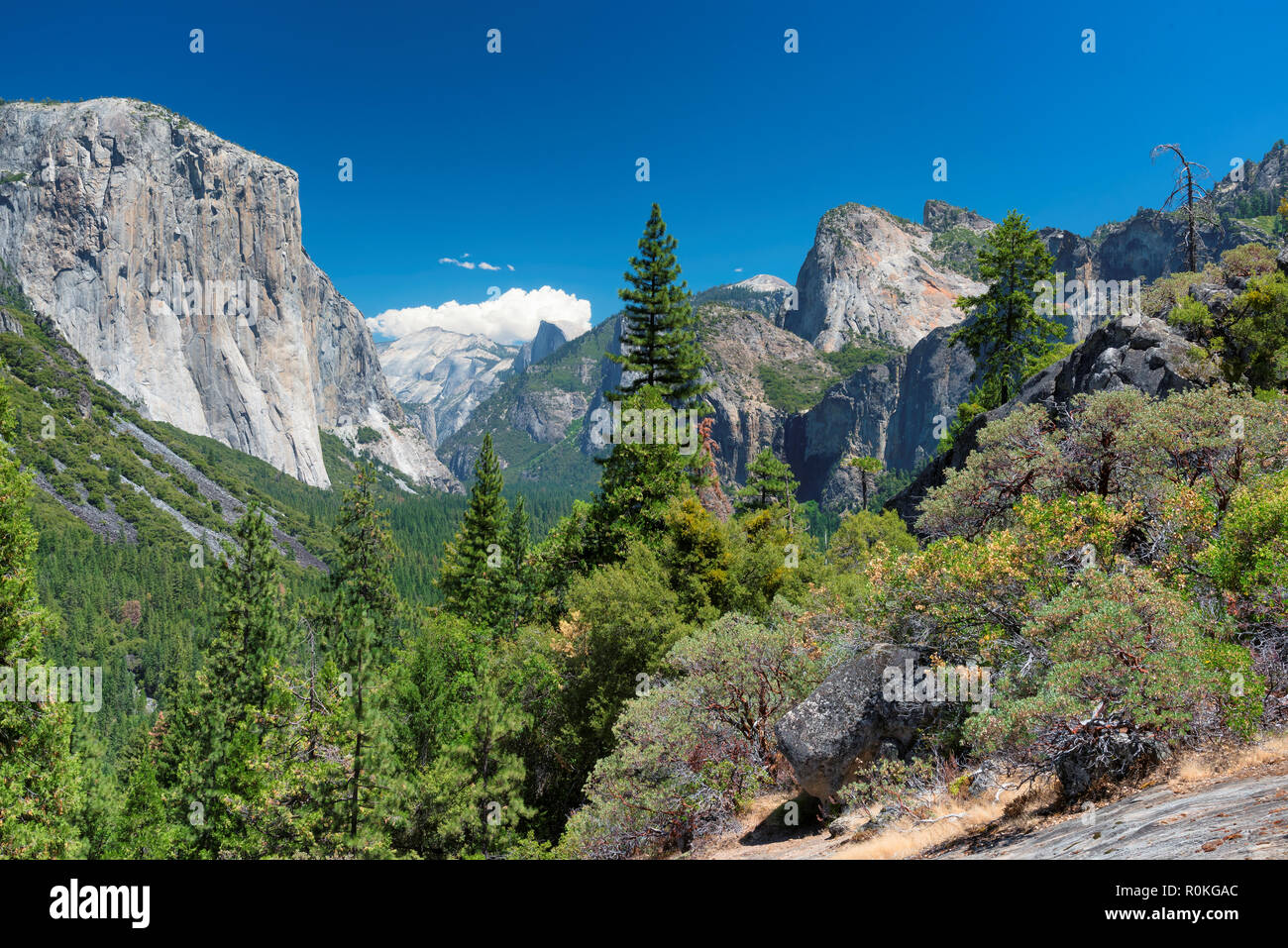 Yosemite summer hi-res stock photography and images - Alamy
