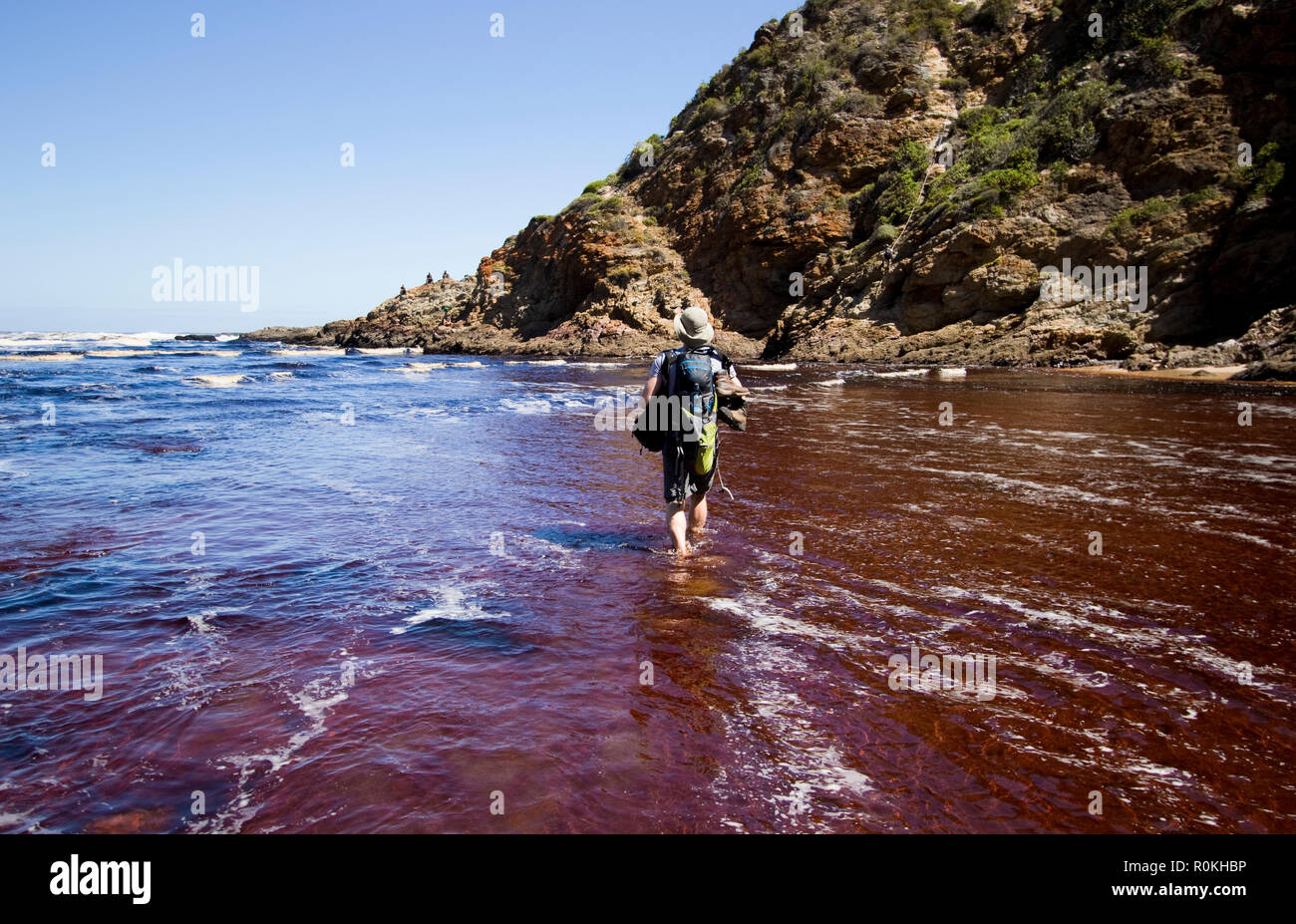 River crossing on the Otter Trail Stock Photo - Alamy