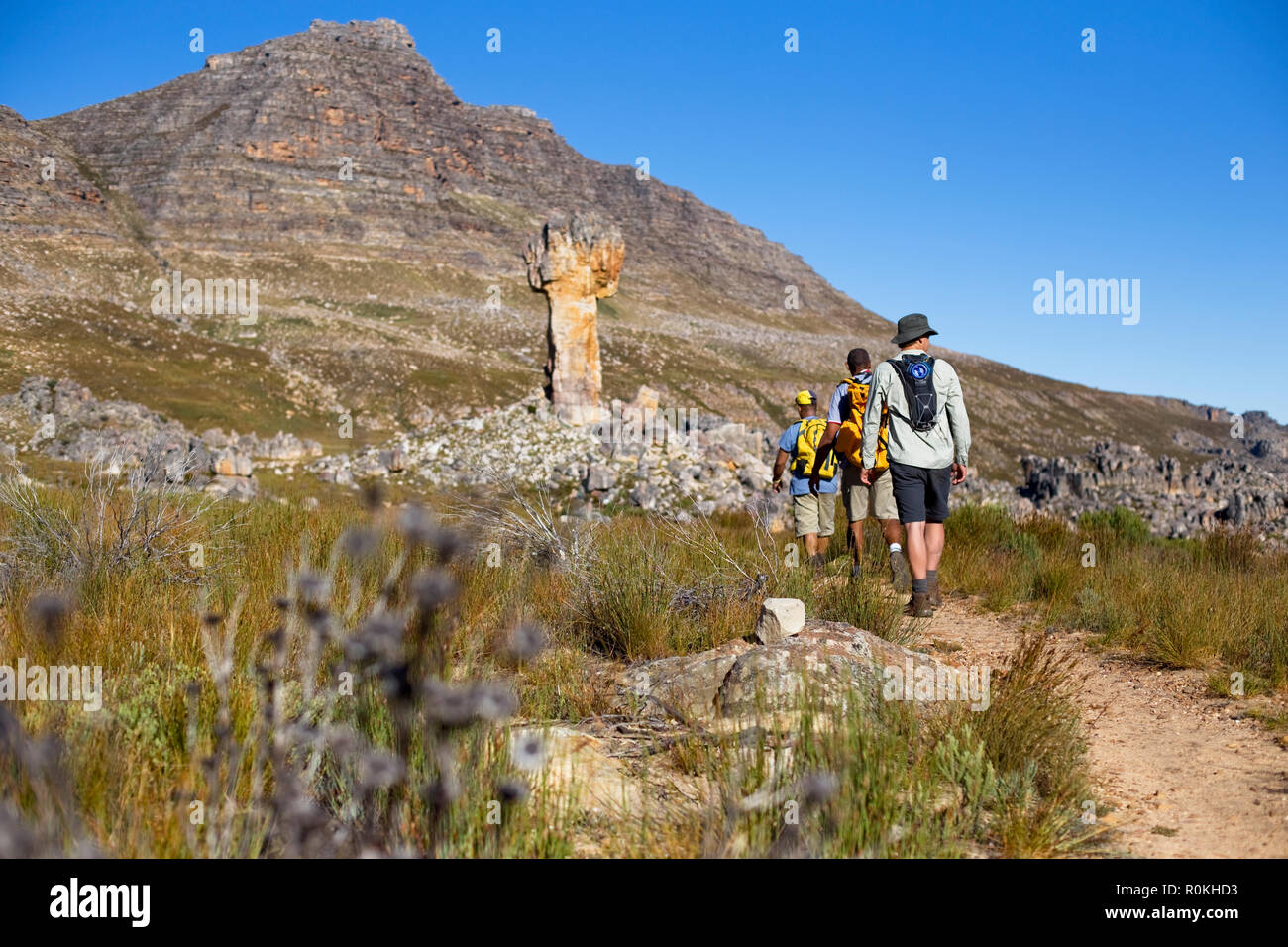 Hikers hiking in the Cederberg Nature Reserve Stock Photo - Alamy