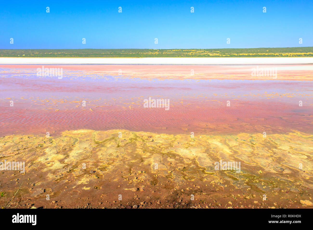 Pink Lake in Port Gregory Road at Gregory in Western Australia. The ...