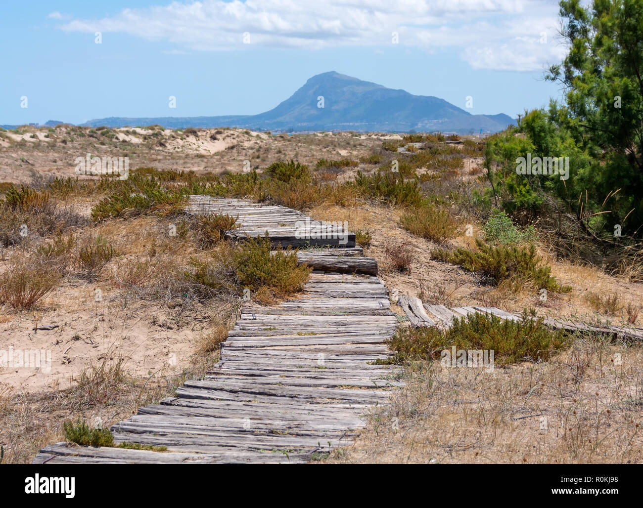 Walk on sandbank hi-res stock photography and images - Alamy