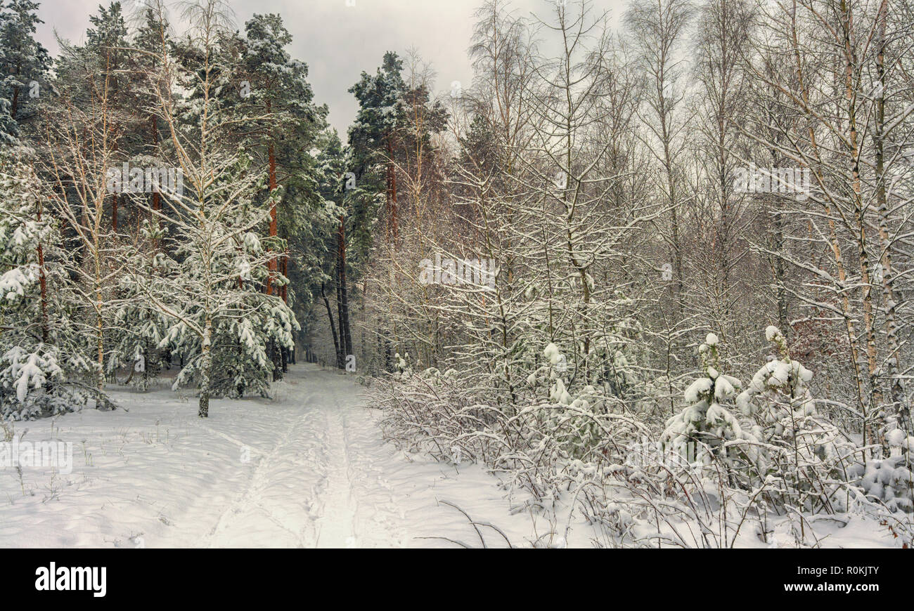 Frosty winter walk hi-res stock photography and images - Alamy