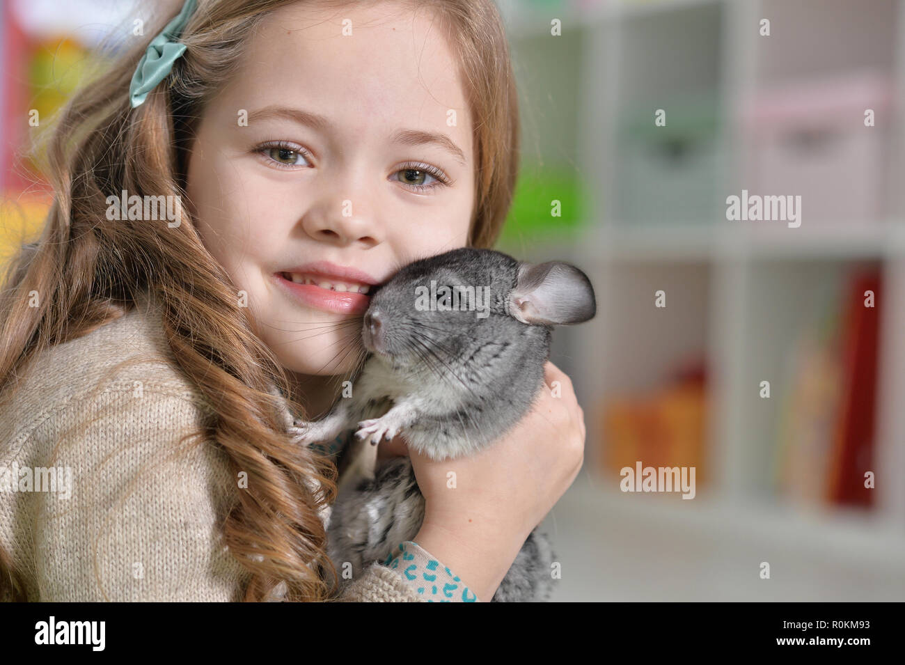 Chinchilla emotions hi-res stock photography and images - Alamy