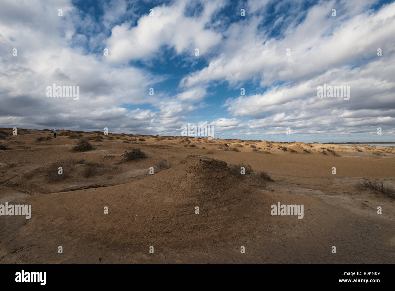 Wildlife, desert land Stock Photo - Alamy