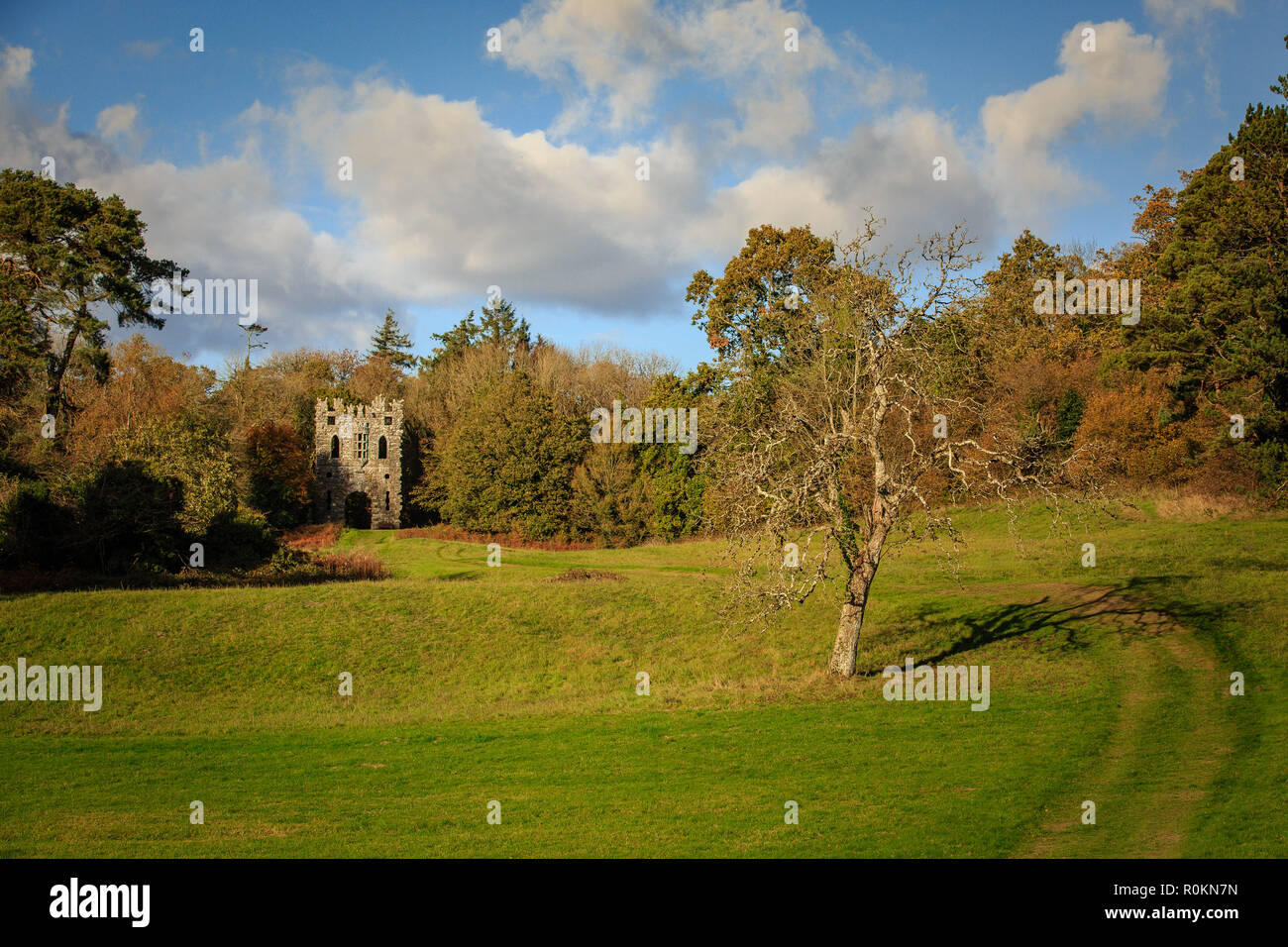 County westmeath ireland hi-res stock photography and images - Alamy