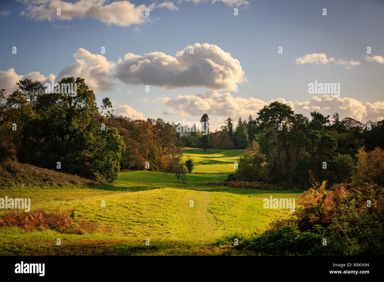 Scenic meadow at the Belvedere Park in Mullingar, County Westmeath ...