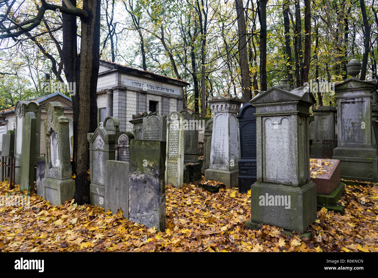Old graves at the Jewish Cemetery, one of the largest Jewish cemeteries ...