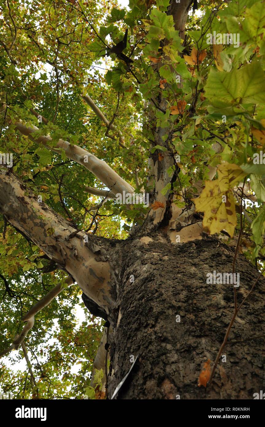 Bottom view hi-res stock photography and images - Alamy