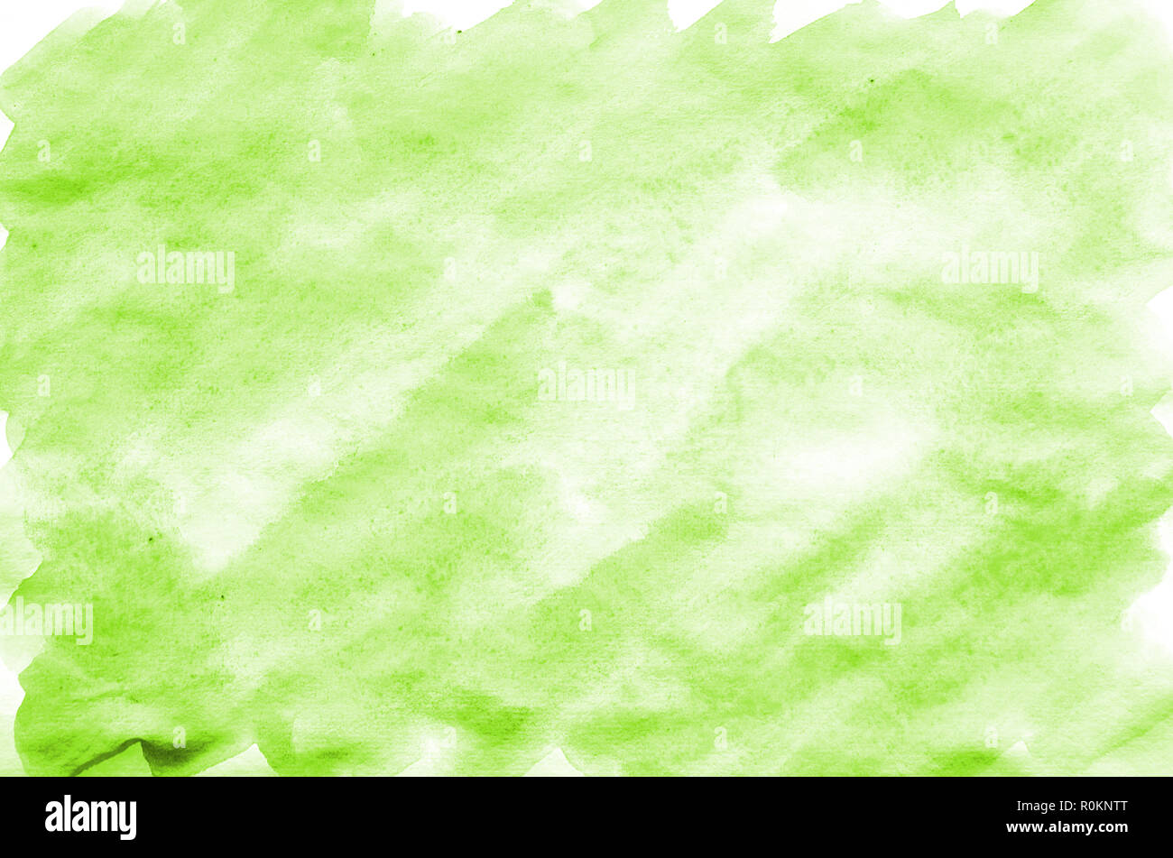 Light green watercolor background on white paper. For the text ...