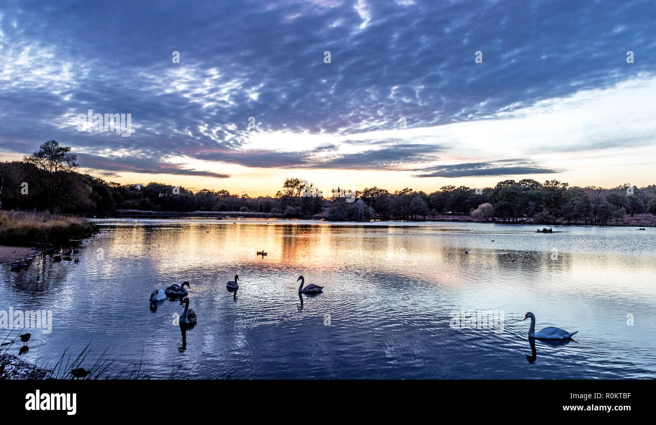 Sunset over Pen Ponds Lake Richmond Park London UK Stock Photo - Alamy