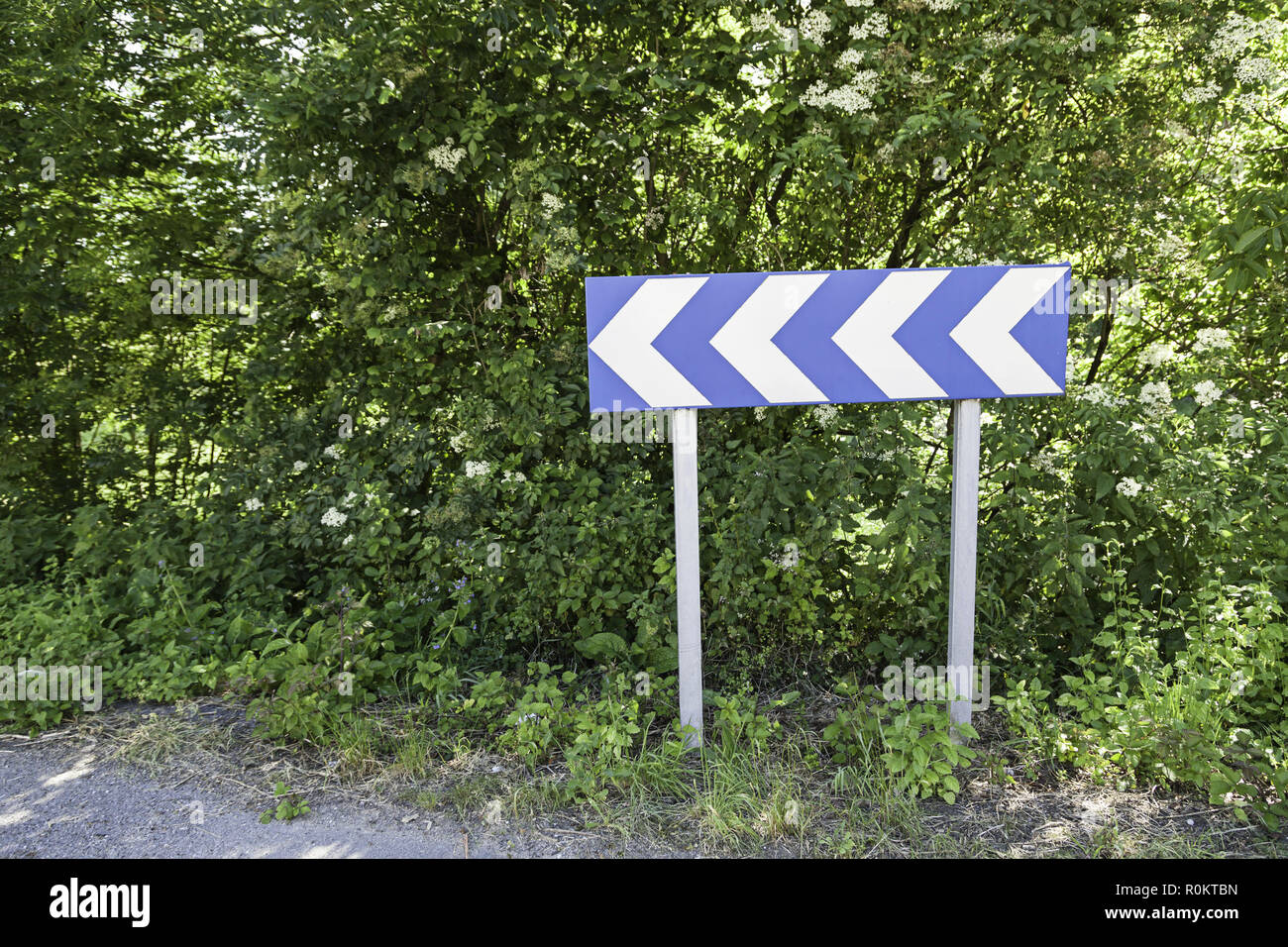 Signal direction in the forest, detail of a signal in the middle of the ...