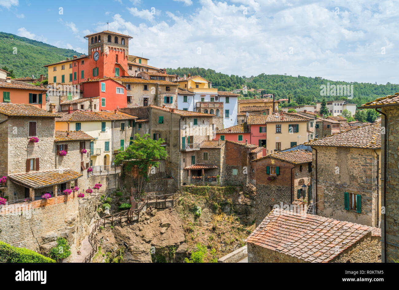 Loro hi-res stock photography and images - Alamy