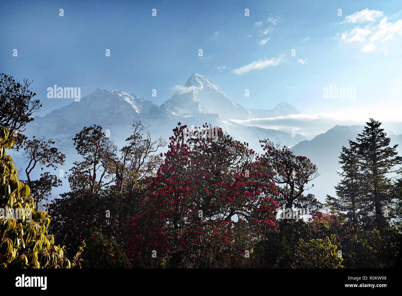 Mountain sunrise from foothills hi-res stock photography and images - Alamy