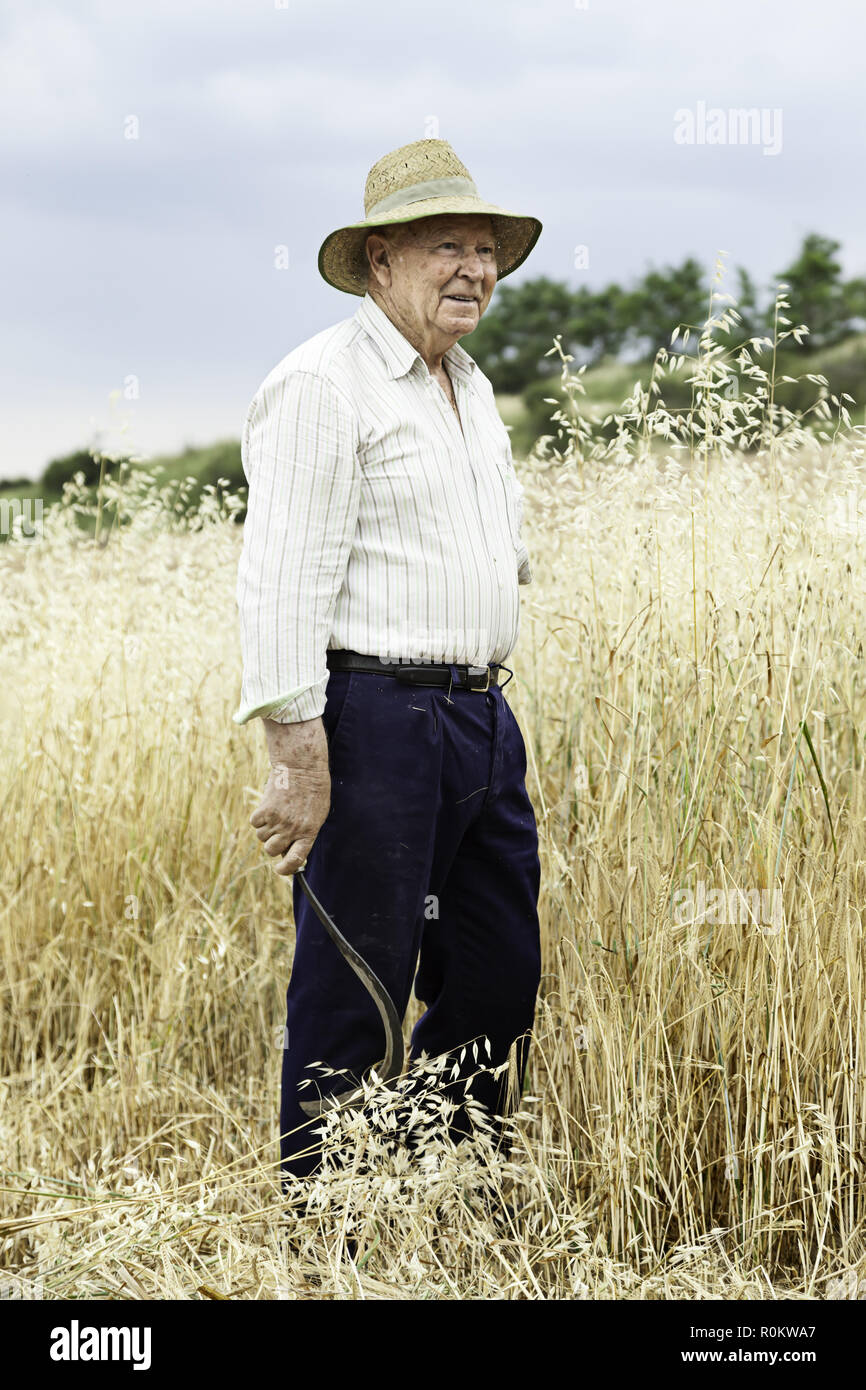 Male elderly farmer, detail of a worker in the field, growing and ...