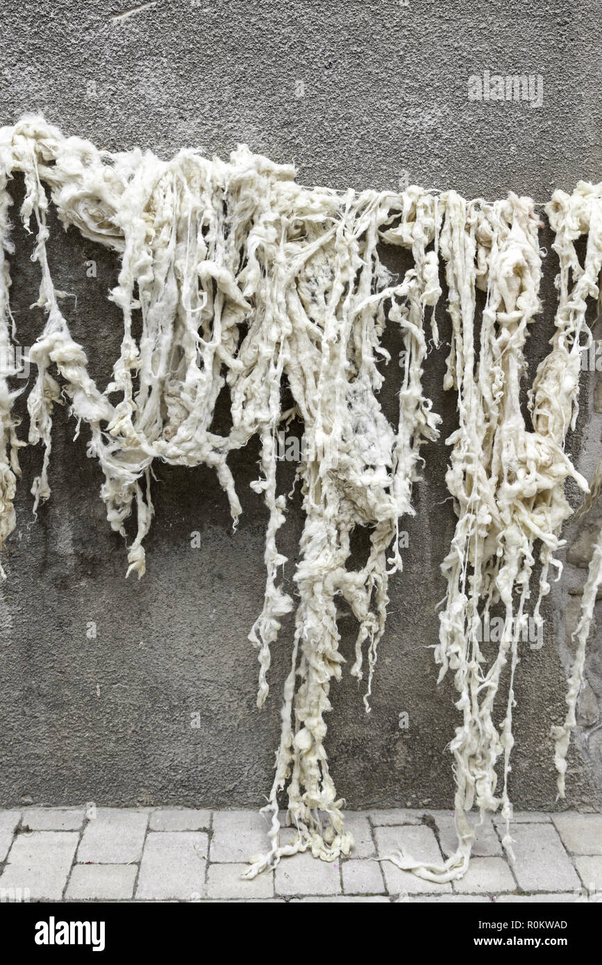 Sheep wool, sheep wool detail drying on a wall outside, tradition and ...