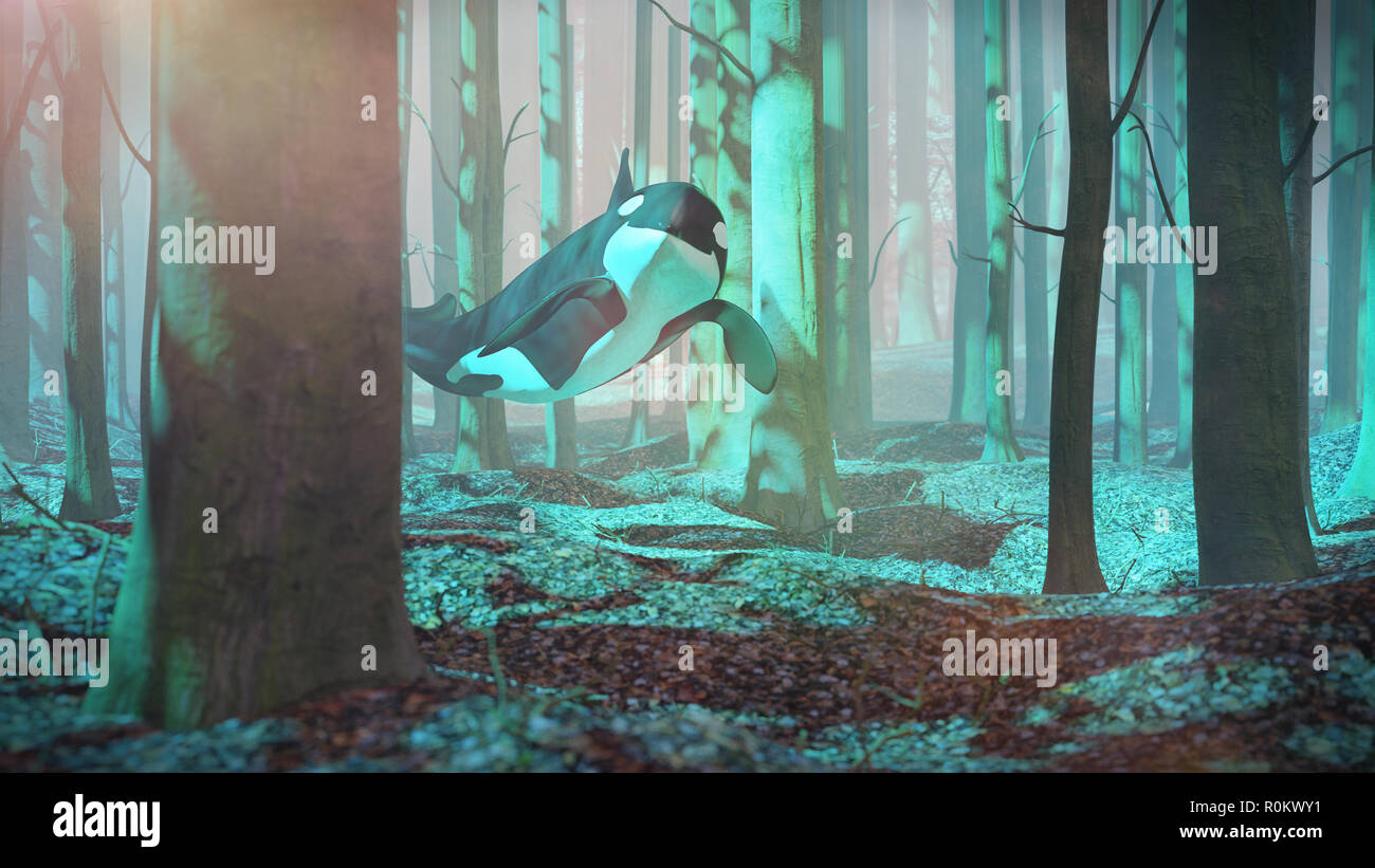 Orca fantasy hi-res stock photography and images - Alamy