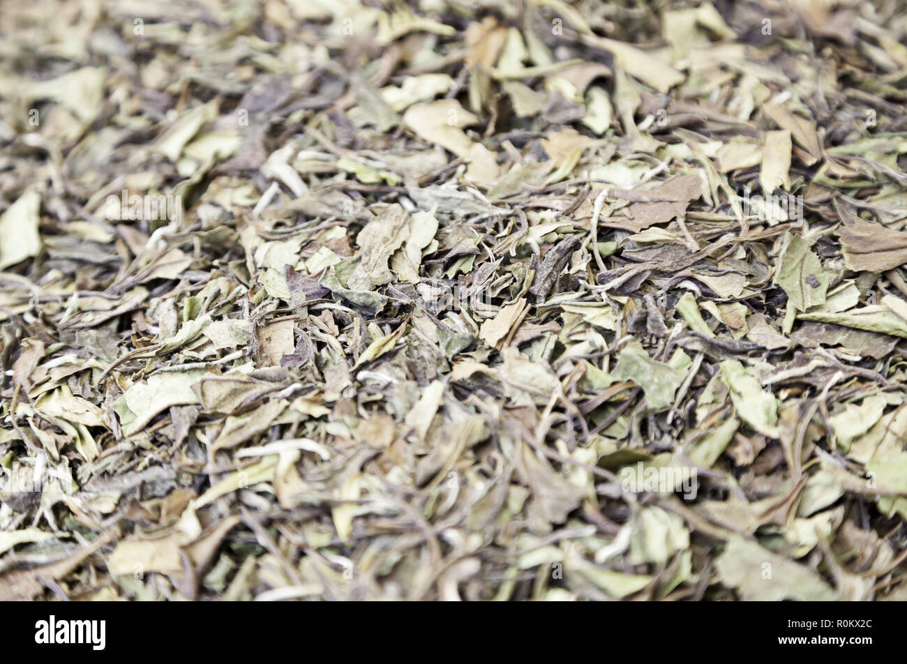 Herbs infusion, detail of dried herbs, tea and tradition oriented ...