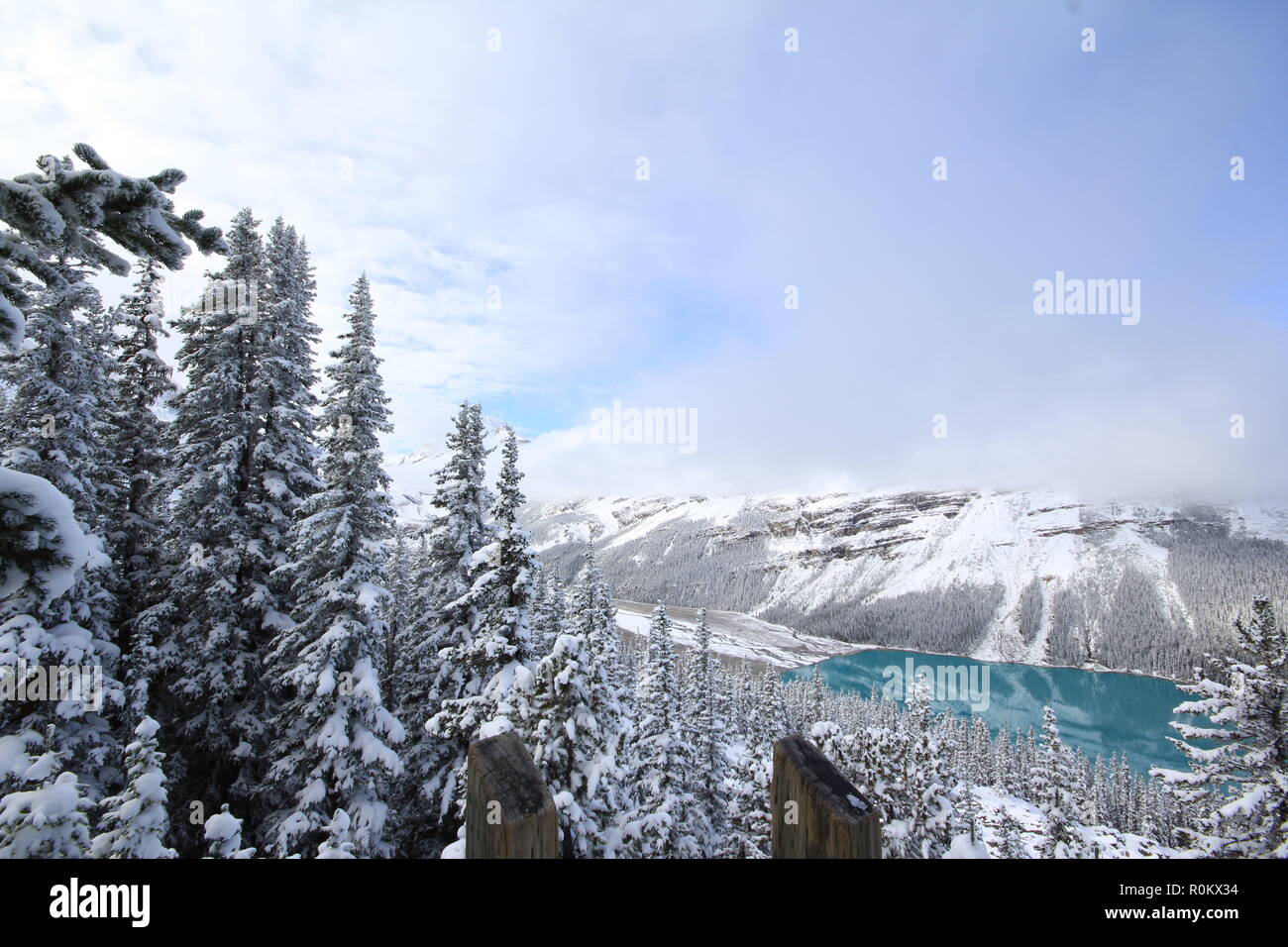 Discover the beauty of hi-res stock photography and images - Alamy