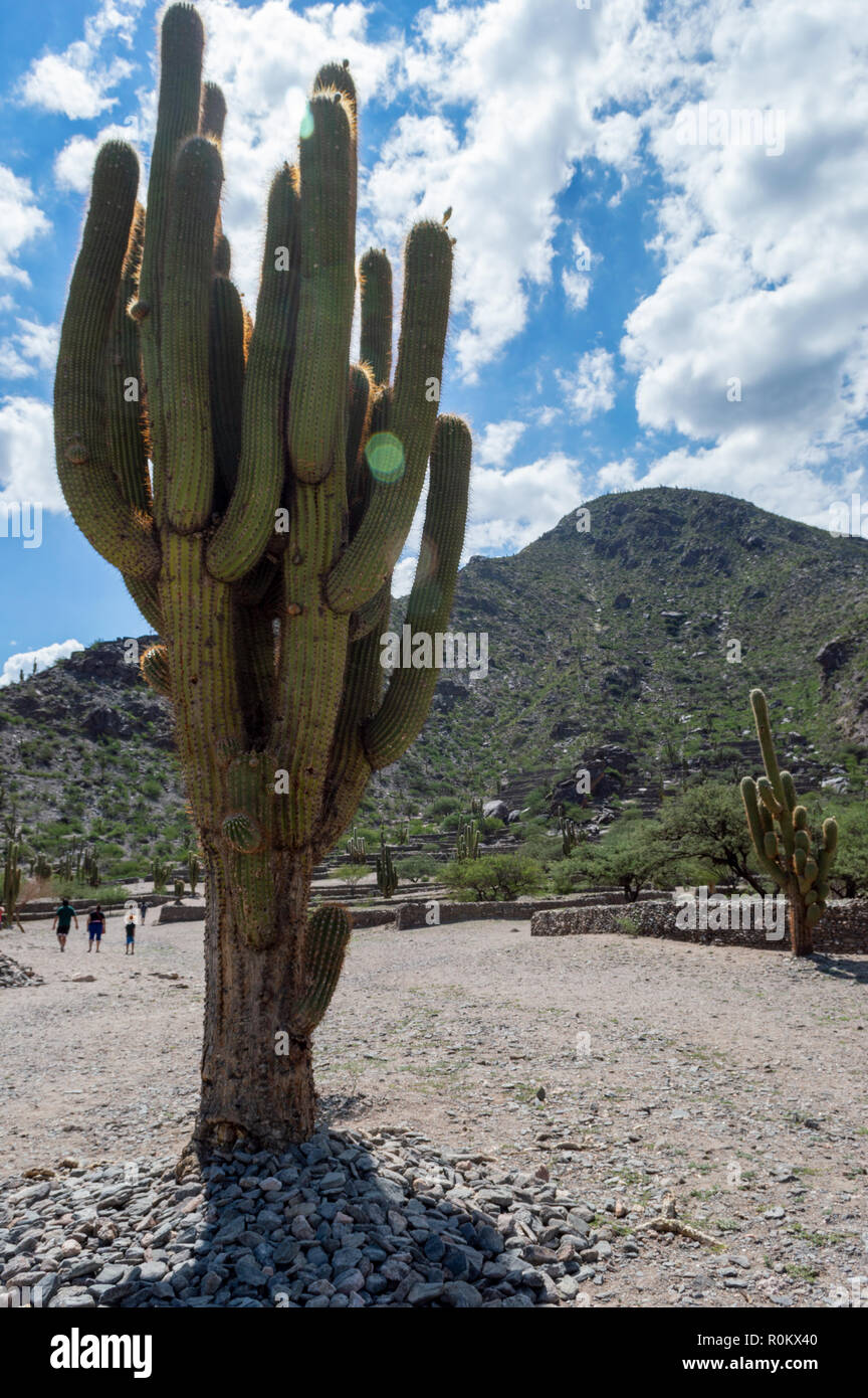 Calchaquí ruins hi-res stock photography and images - Alamy