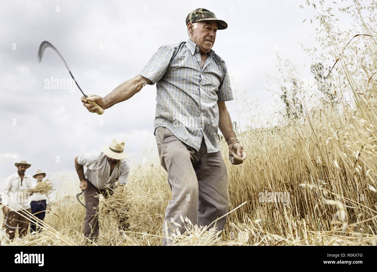 Group of farmers working, detail of a manual workers in the field ...