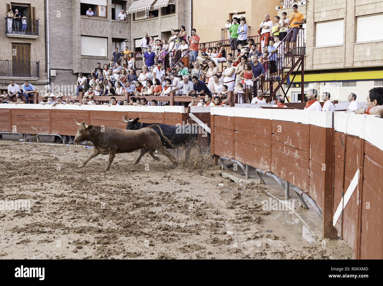 Spanish Bullfight, detail of a typical animal show Spain Stock Photo ...