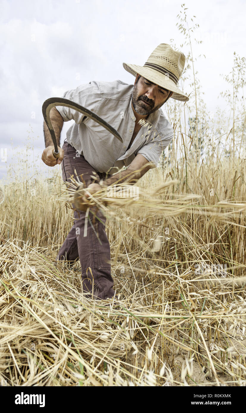 Farmer working, detail of a man working in the field, manual labor ...