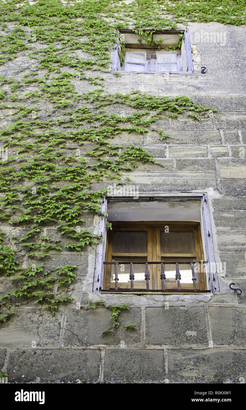 Window with rural grass, detail of an old window in a facade, rural and ...