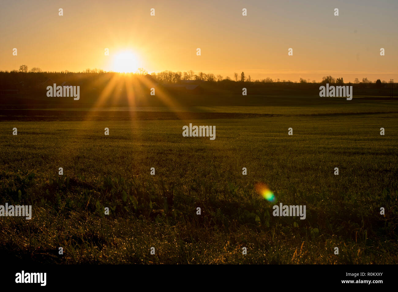 Farm morning sun hi-res stock photography and images - Alamy