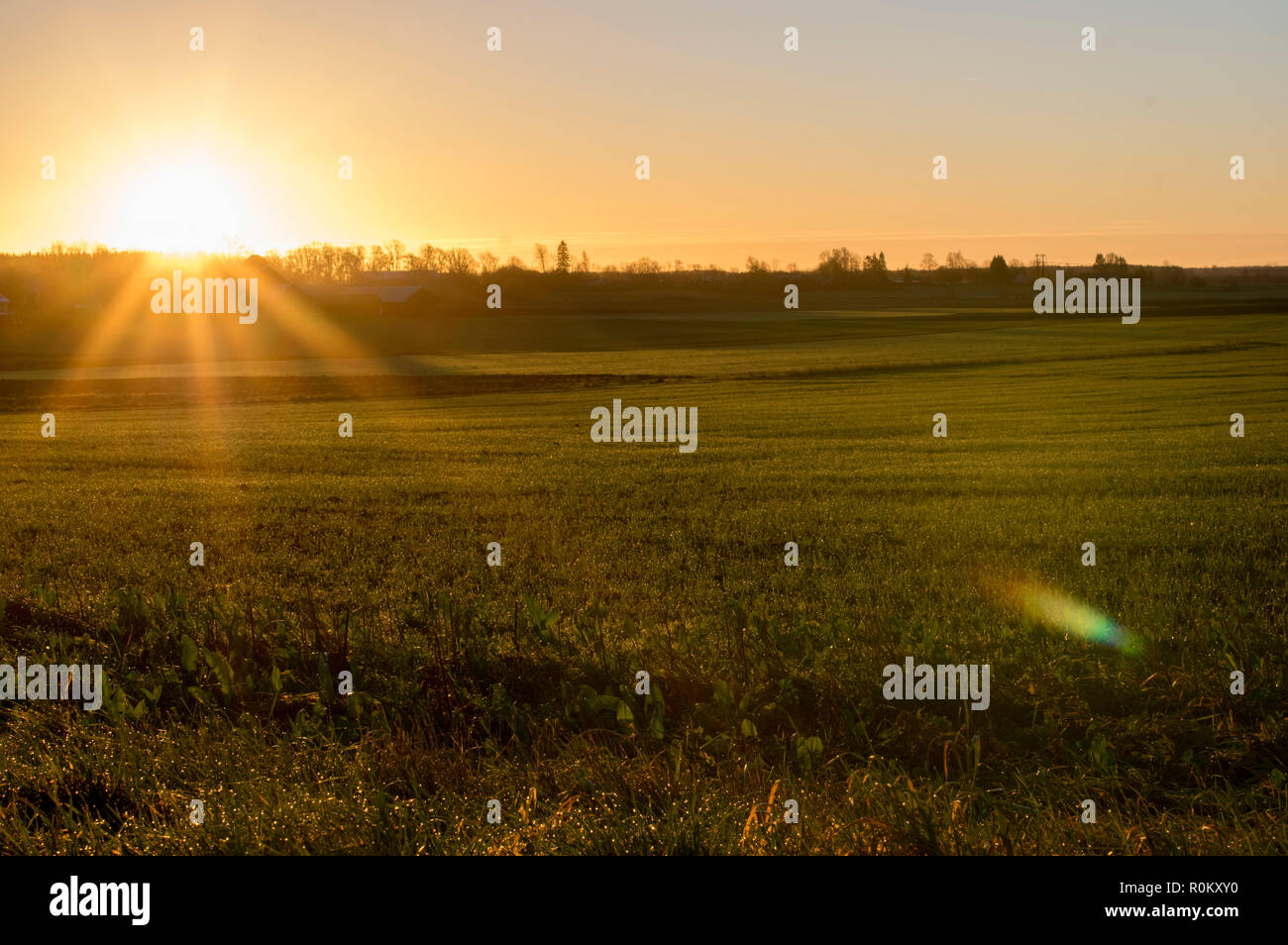 Morning farm sky hi-res stock photography and images - Alamy