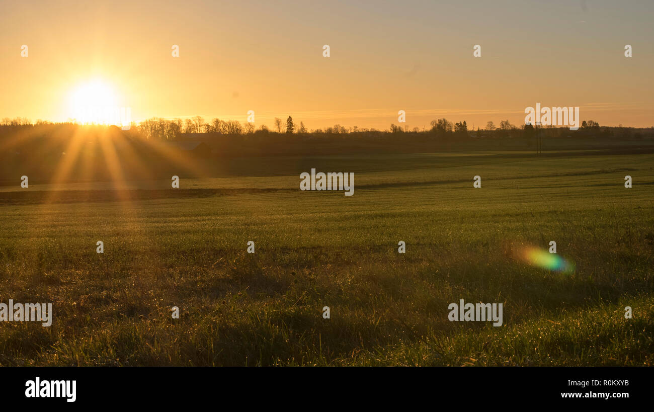 Fields in the morning sunlight Stock Photo - Alamy