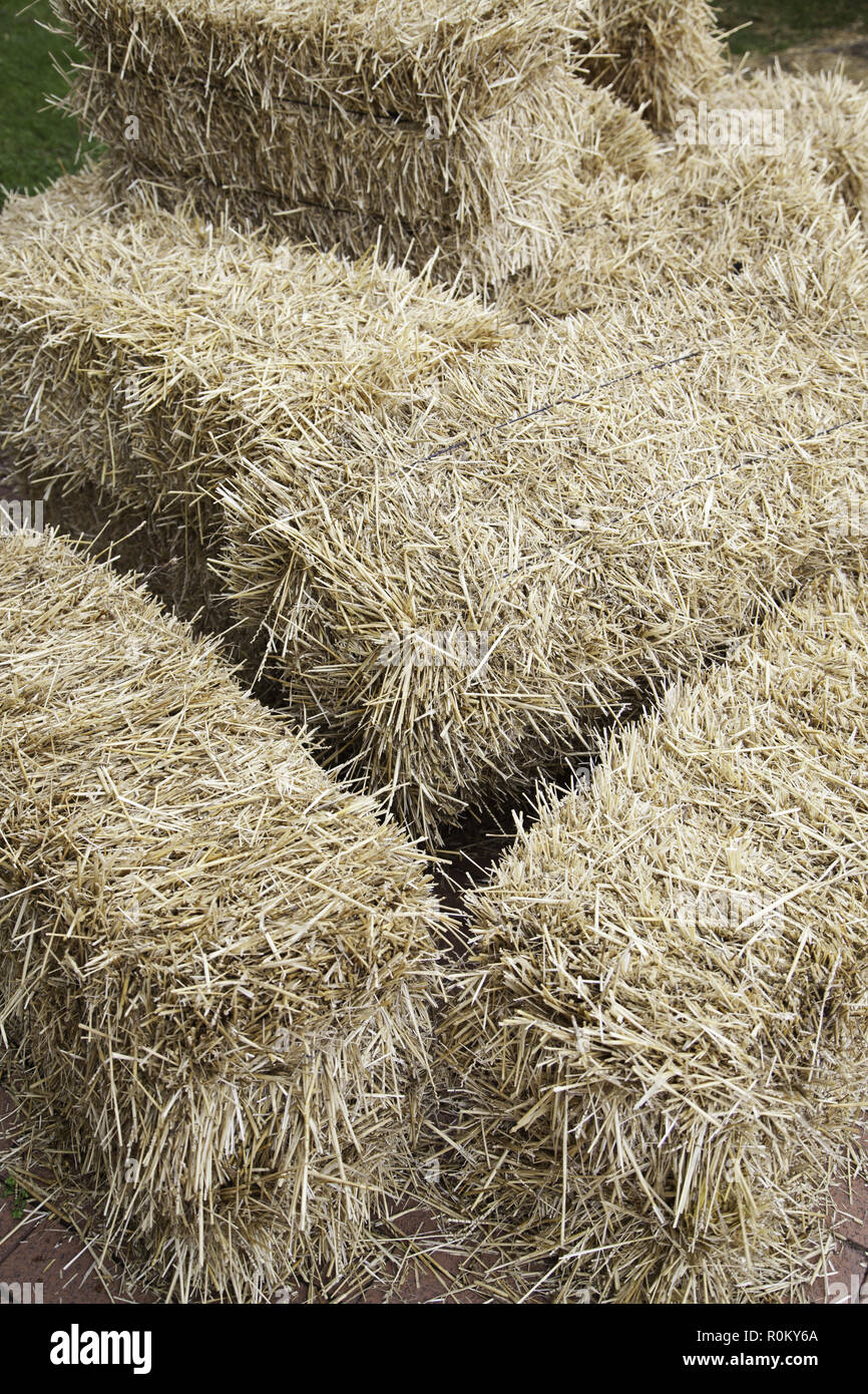 Straw bale, detail piles of grain grown Stock Photo - Alamy