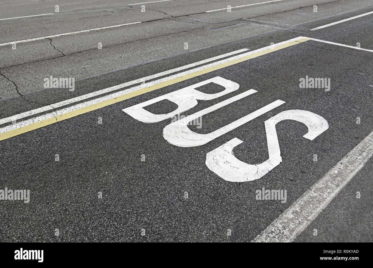 Sign on road bus, detail of a sign painted on the asphalt, information ...