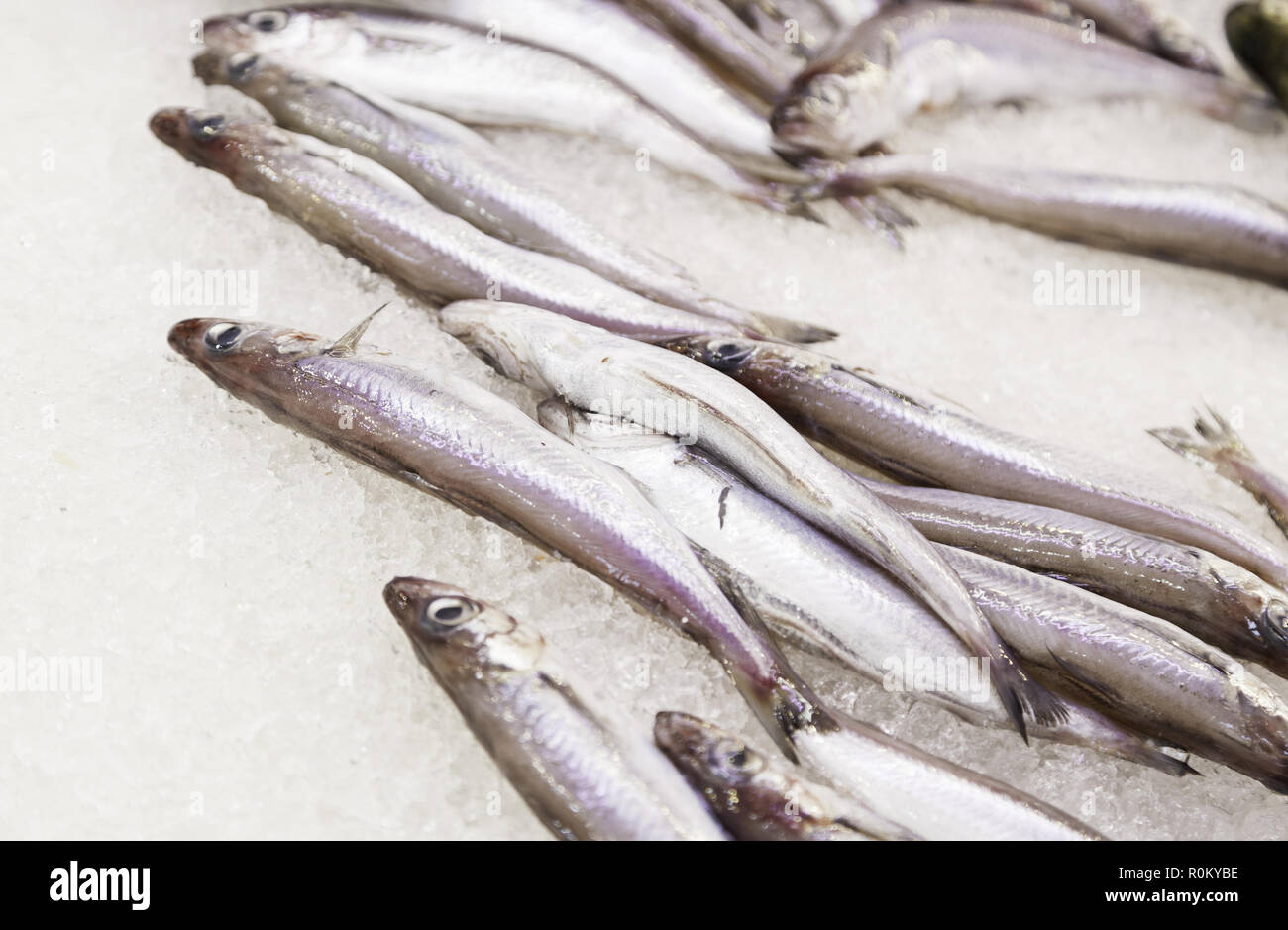 Sardines in a fish market, fresh fish detail on a crazy store, selling ...