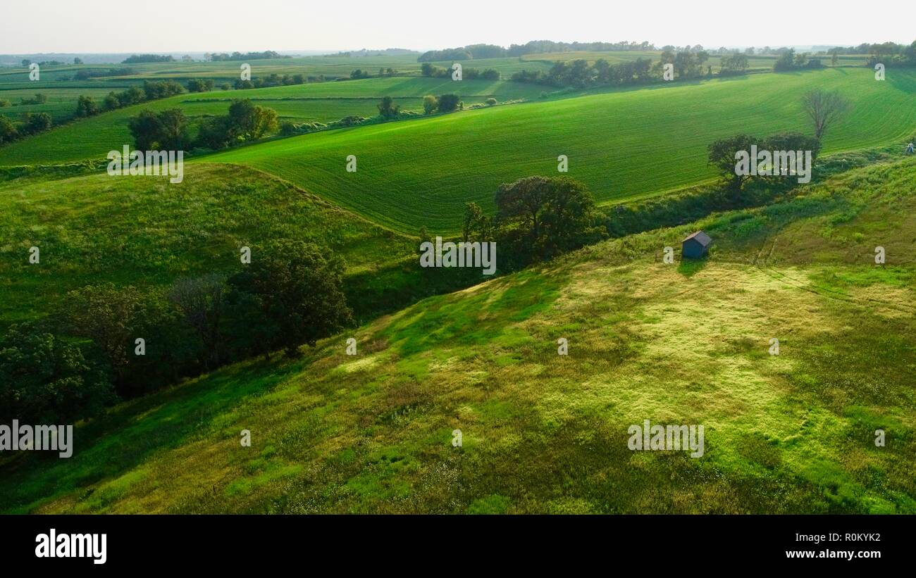 Aerial view of lush green prairie fields in the summer after ...