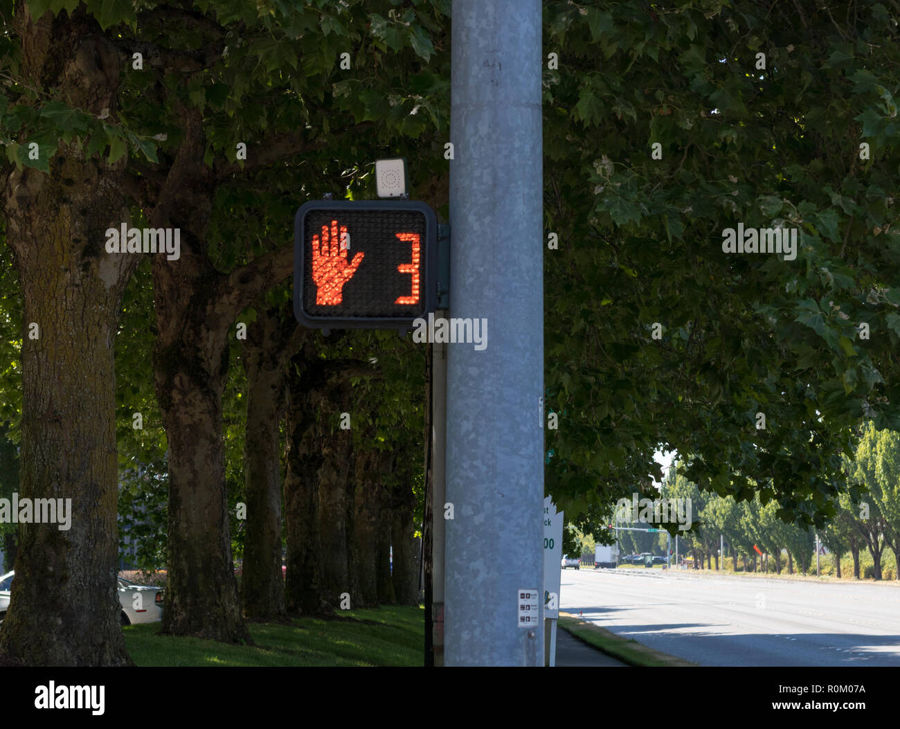 Crosswalk hand symbol sign on a post with trees in the distance Stock ...