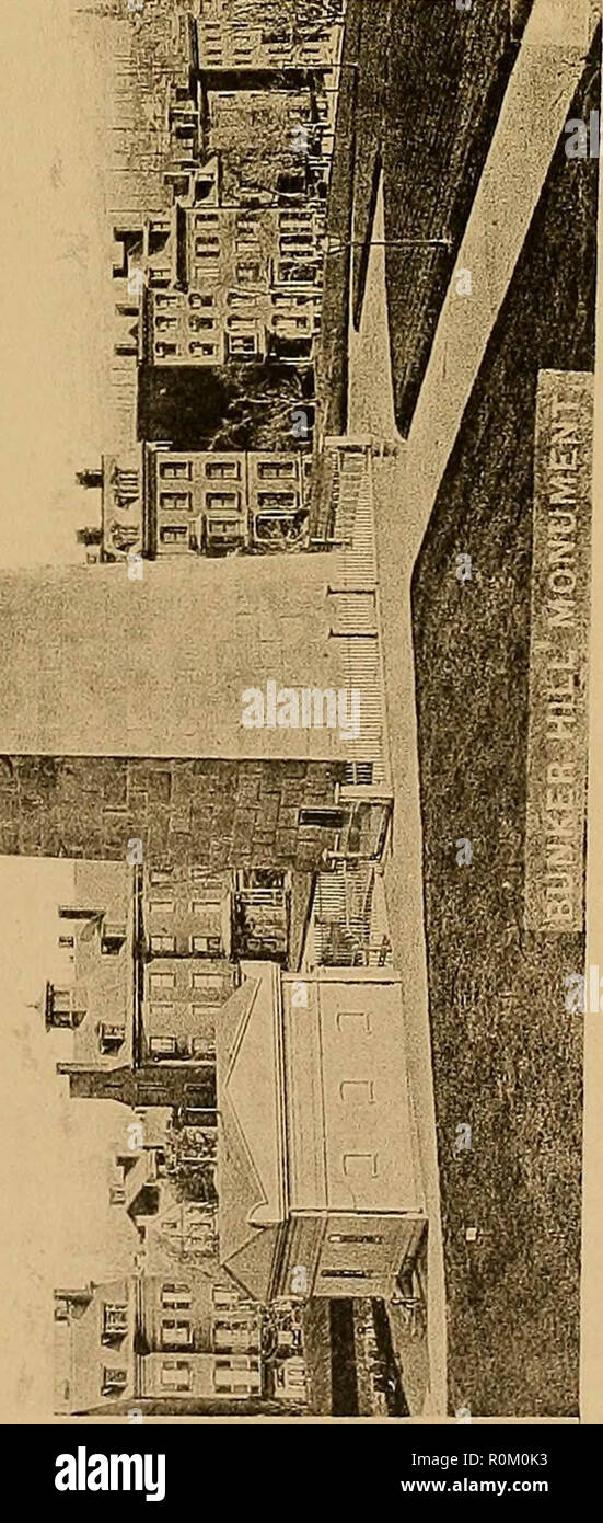 Heliotype hi-res stock photography and images - Alamy