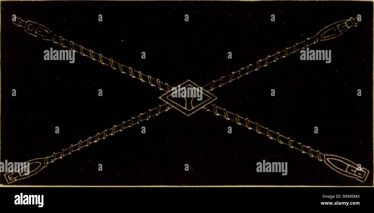 "The Coach-makers' illustrated hand-book" (1875 Stock Photo - Alamy