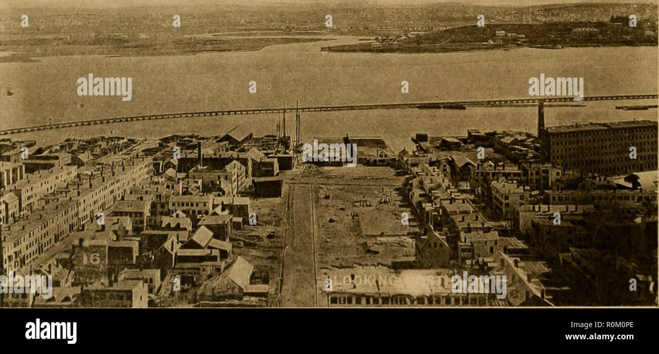 Heliotype hi-res stock photography and images - Alamy