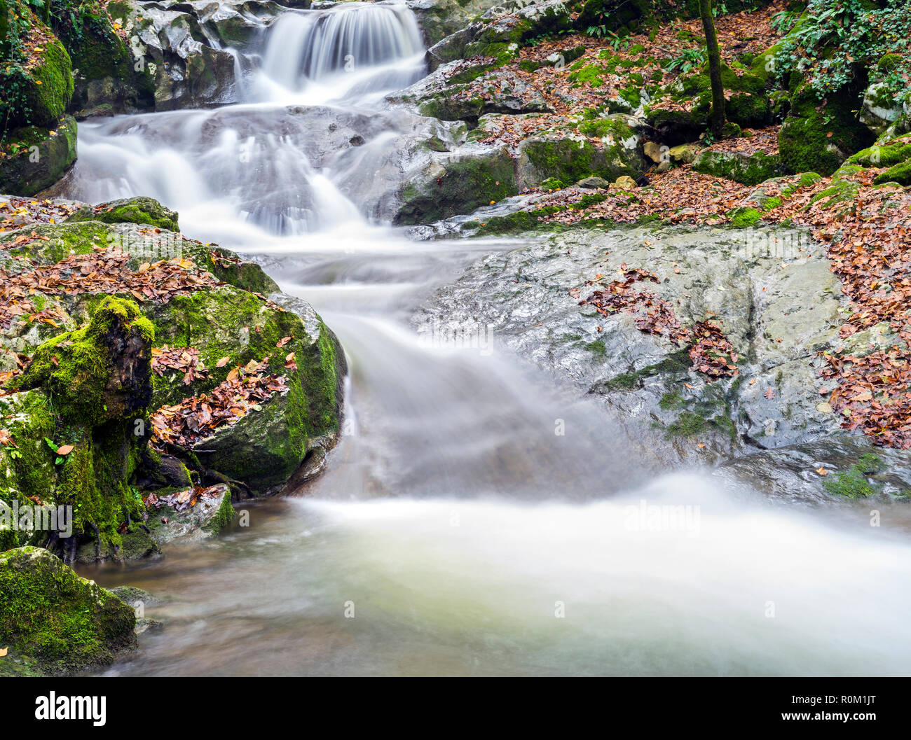 Small forest waterfall with clean running water Stock Photo - Alamy