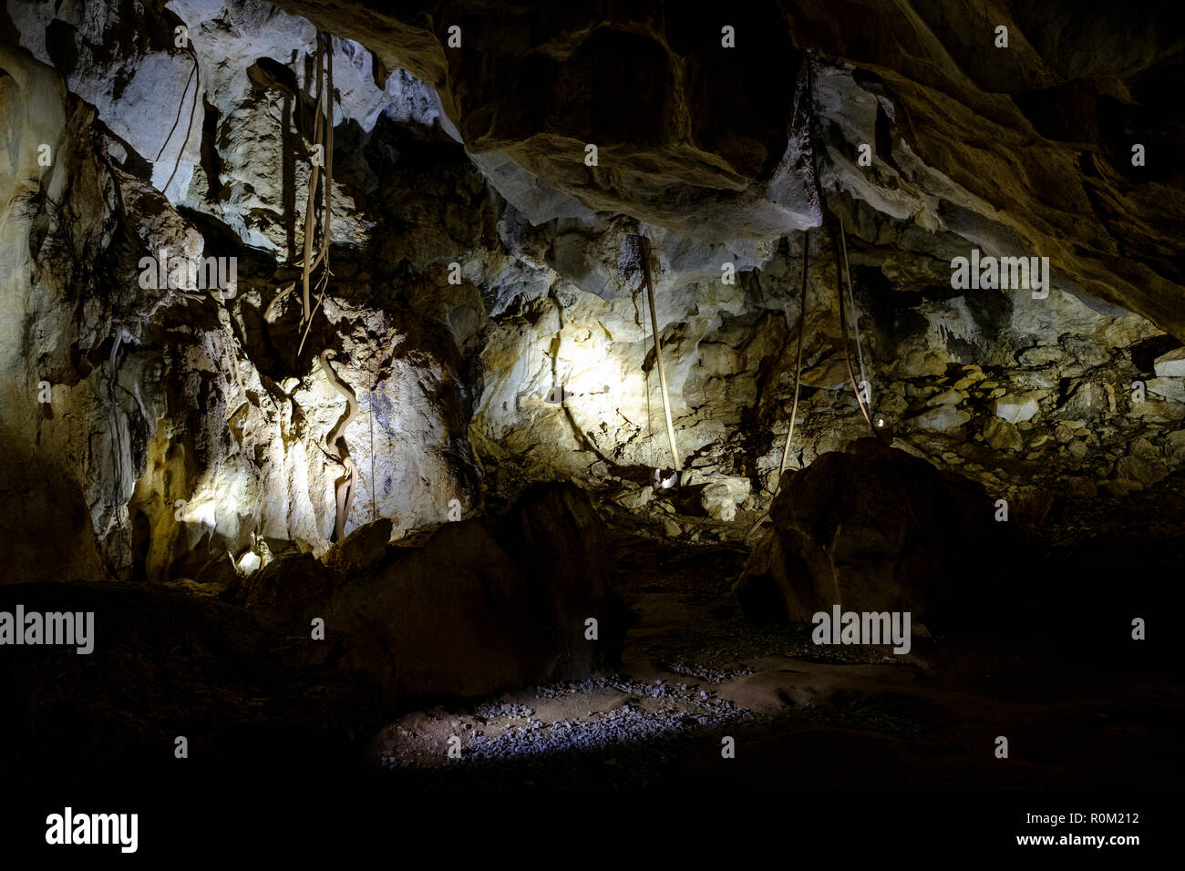 At Capricorn Caves - Cathedral Cave tour Stock Photo - Alamy