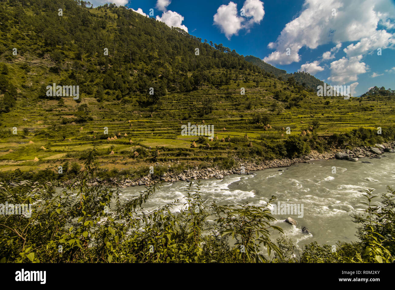 Ganga River, Uttrakhand, India Stock Photo - Alamy