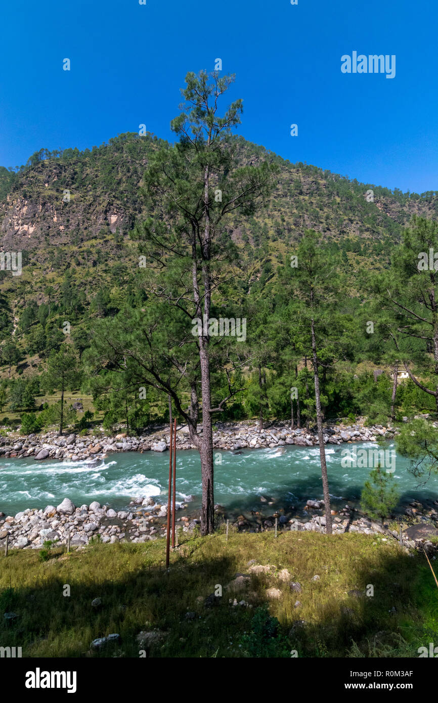 River in Sankri Range, Uttrakhand, India Stock Photo - Alamy
