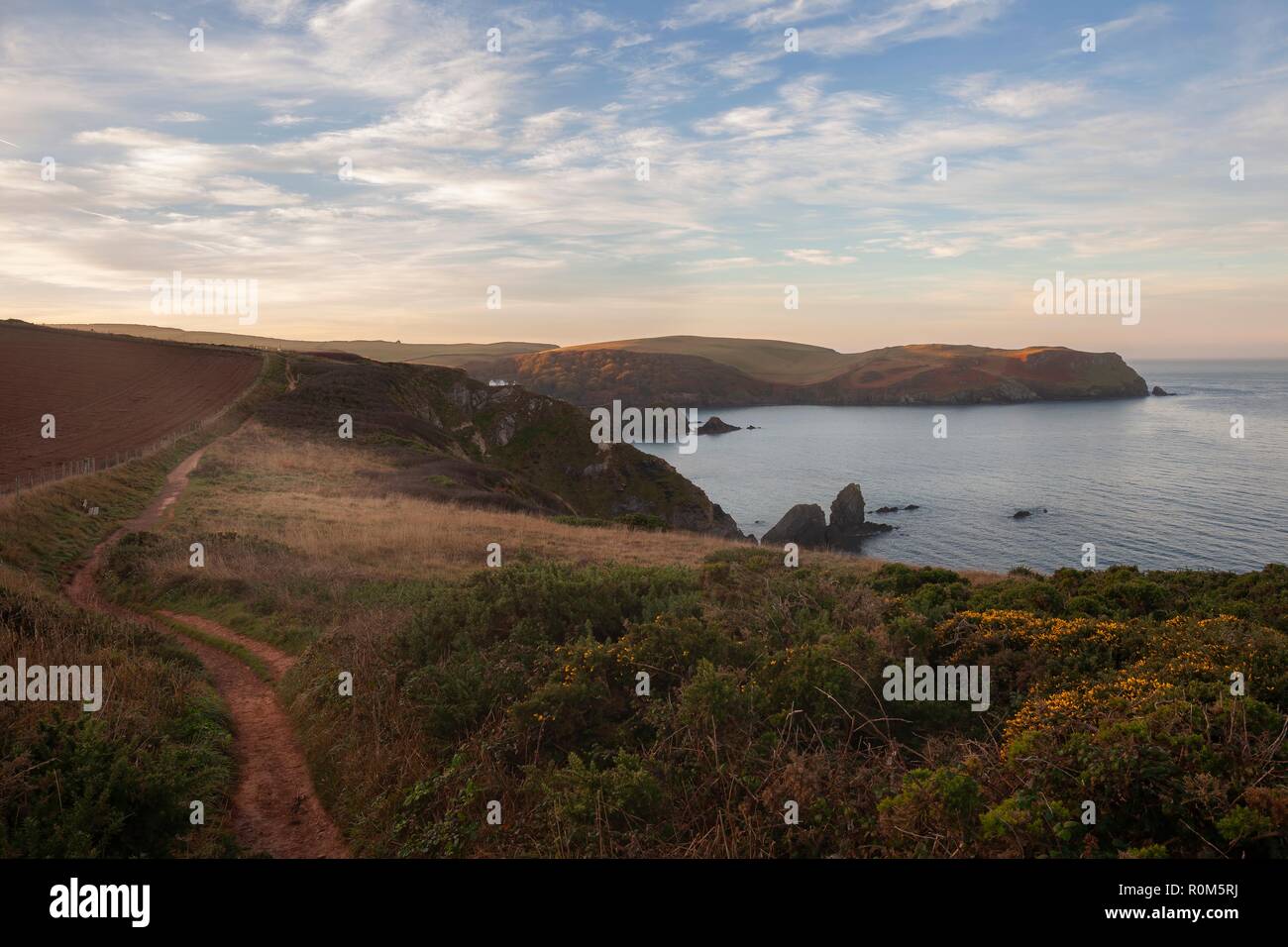 Bolt tail cove hi-res stock photography and images - Alamy