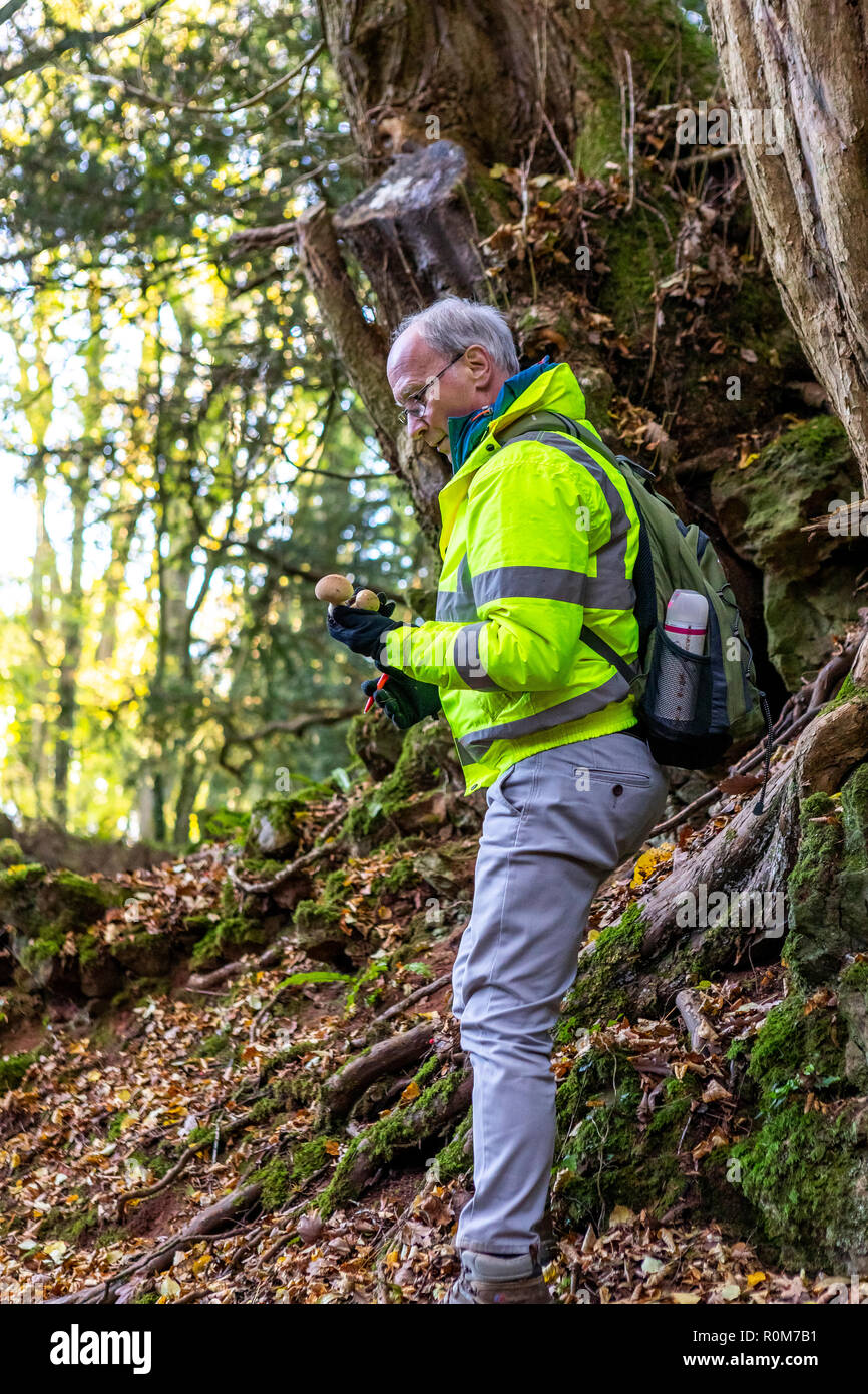 Professional tree Inspector Steve Maros routinely inspects trees at ...